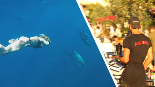 JOBS D'ETE : DU REVE A LA GALERE | Tony Comiti